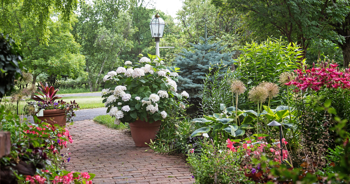 Landscaping 101: The Many Benefits of Landscaping, Plus 7 Plants To Ge ...