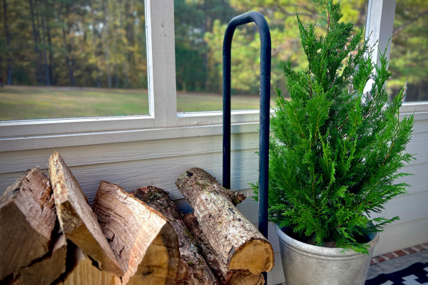 Enhance Your Patio with Potted Evergreens for a Vibrant Winter Display ...