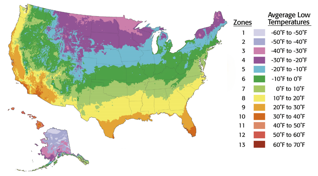 GoBuyPlants Makes Understanding Hardiness Zones Easy | GoBuyPlants