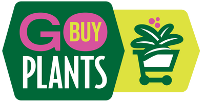 GoBuyPlants | The Best Plants at the Best Prices